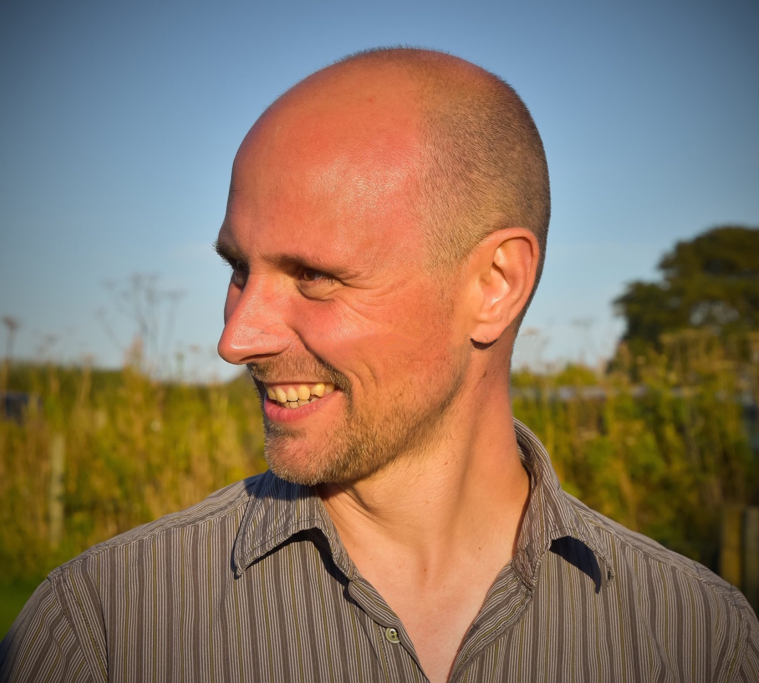 danolner.net – Another WordPress site hosted by the ethical and co ...